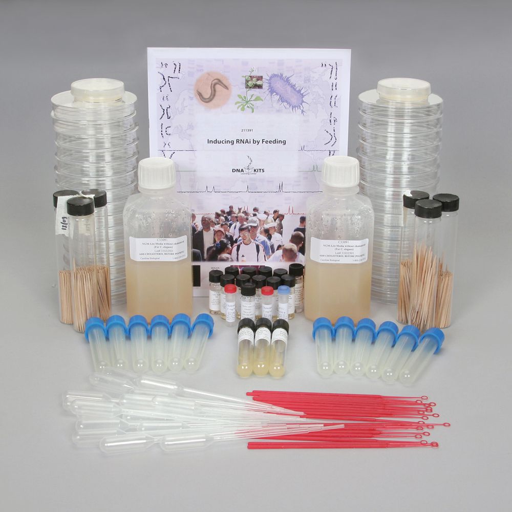 Inducing RNAi by Feeding Kit (with voucher) – AYVA – Carolina