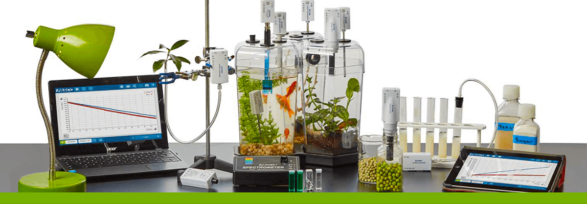 bio | AYVA Educational Solutions