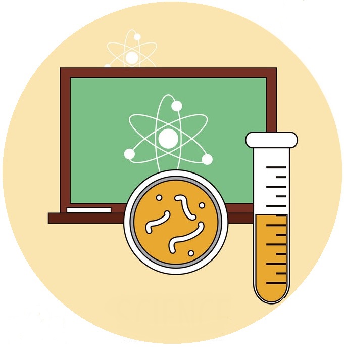 scitech | AYVA Educational Solutions