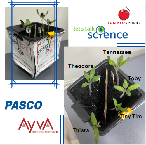 FEB 8 panel 2 | AYVA Educational Solutions