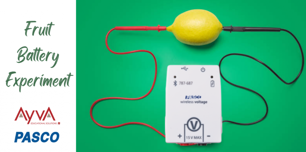 new banner for fruit battery | AYVA Educational Solutions