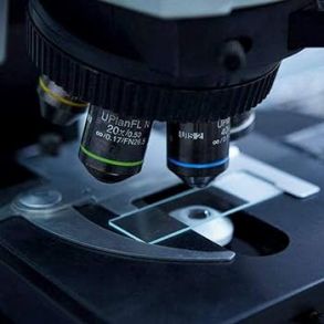 Slides | AYVA Educational Solutions